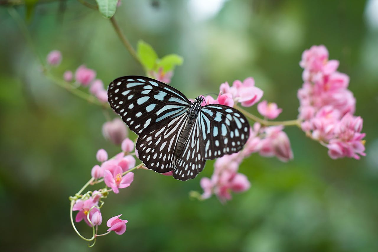 Life Transformational Coaching Singapore | Life Transition Coach in ...